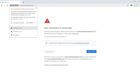 Installing A Self Signed Cert On Your Local Machine Webmaster Ninja