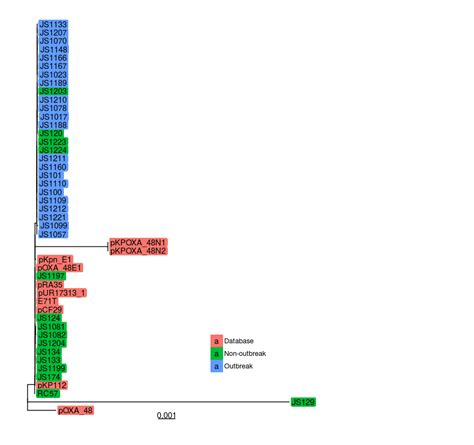 Drawing A Tree With Colored Tips In R Ggtree Anita Schürch