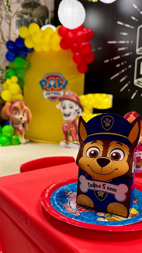 Twinslandbudva • Instagram Photos And Videos