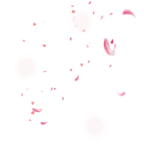 花瓣png漂浮物