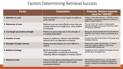 Lecture 4 The Retrieval Process Flashcards Quizlet