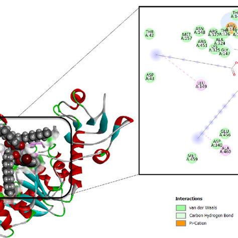 Intermolecular Binding Conformation Of Murf Derivative 9 And Chemical Download Scientific