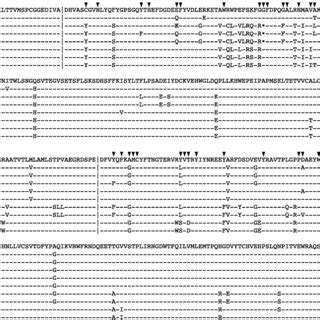 The Pairing Of DQA And DQB Lineages The Lines Between The DQA And DQB Download Scientific