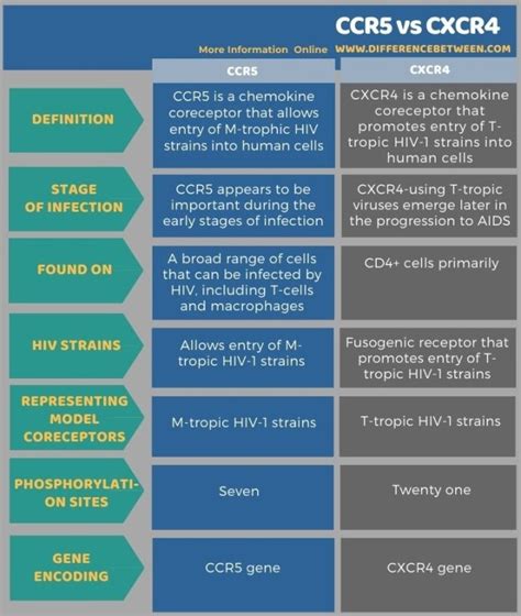 Difference Between Ccr5 And Cxcr4 Compare The Difference Between