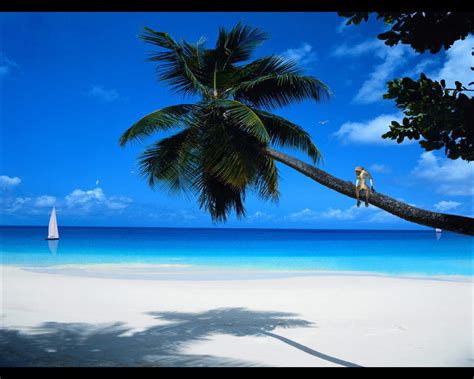 Summer Beach 3d Screensaver Software Informer Screenshots