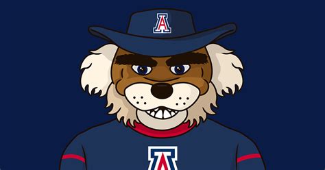 Tyler Loop Arizona Wildcats K Statmuse