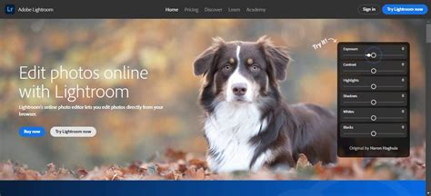 Best Noise Reduction Software For Photographers In 2023