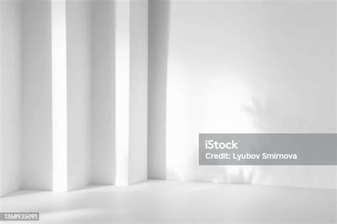 화장품 프리젠 테이션을위한 추상 흰색 3d 스튜디오 배경 빈 회색 방에 는 창문의 그림자 흐리게 배경이 있는 제품을 표시합니다 배경막에 대한 스톡 사진 및 기타 이미지