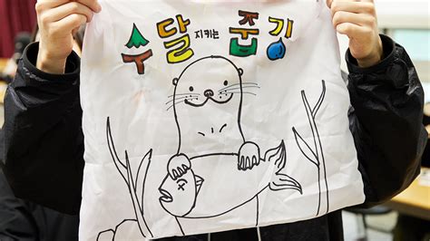 더 현대적인 마음 L 한강에 수달이 산다 수달 서식지 환경정화활동