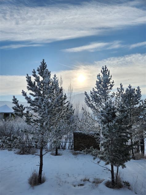 Нэг дэлхий эх хүүхдийн амралт