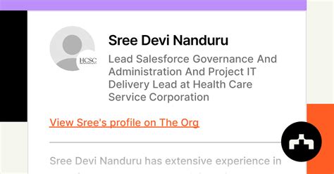 Sree Devi Nanduru Lead Salesforce Governance And Administration And Project It Delivery Lead