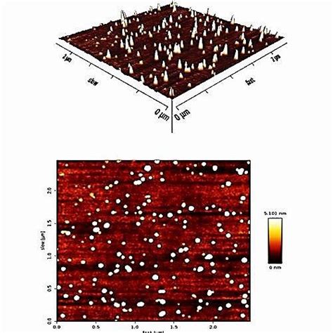 Measurement With An Atomic Force Microscope Download Scientific Diagram