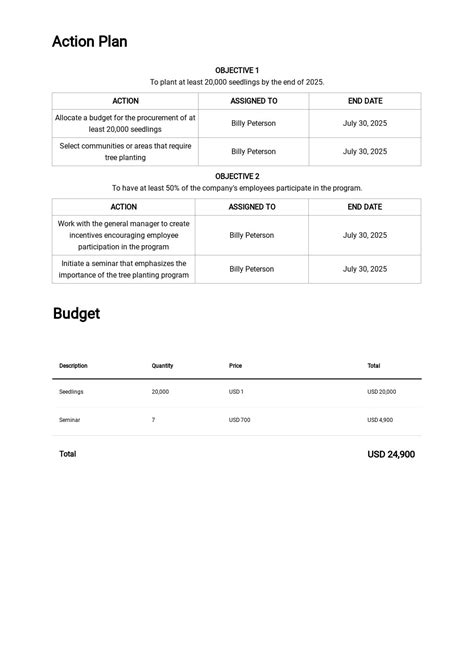Program Management Plan Template Word Google Docs