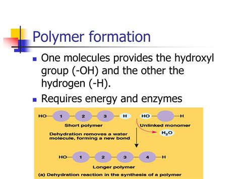 Ppt Chapter 5 The Structure And Function Of Macromolecules Powerpoint Presentation Id 1443014
