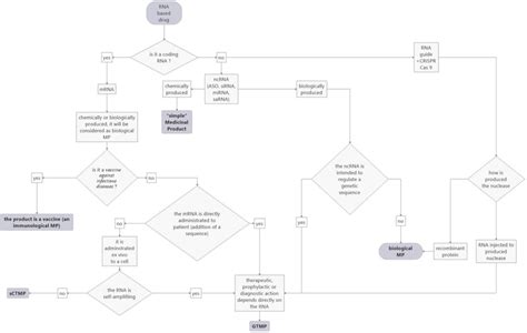 Proposed Flowchart To Facilitate The Categorization Of Rna Based