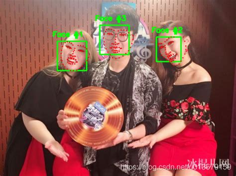 面部特征点检测（使用opencv dlib） dlib 中国人模型 csdn博客