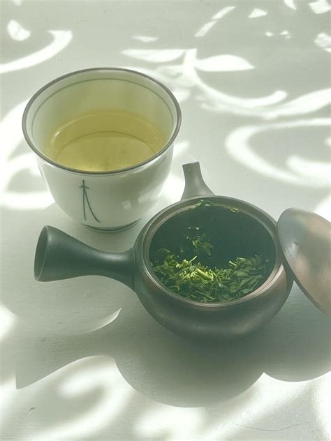 Green Tea Umami Saturation Rtea