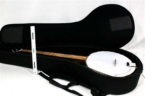 Rover Openback 4 String Banjo Remo Weather King Banjo Head Only And Play
