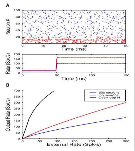 A The Top Panel Shows A Raster Plot Of The Firing Times Of 80