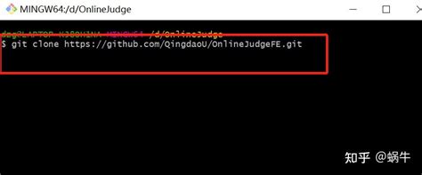 2 Onlinejudge前端中文显示 知乎