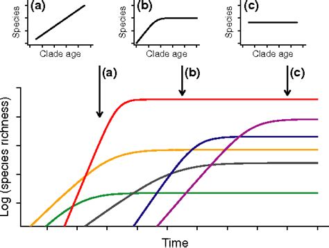 Figure 1 From Ecological Limits And Diversification Rate Alternative