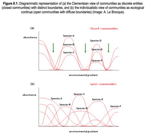 module 8 community structure flashcards quizlet