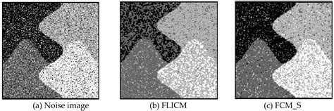 Sensors Free Full Text A Local Neighborhood Robust Fuzzy Clustering Image Segmentation