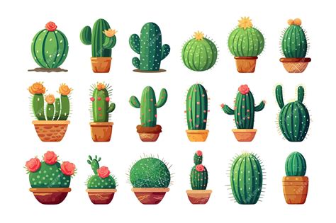 Premium Vector Cactus Vector Set Collection Graphic Clipart Design Flat Vector Illustration