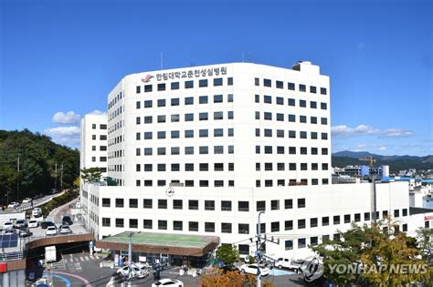 뇌 손상 부위 신경줄기세포 이동 가능성 메커니즘 규명 연합뉴스 뇌 손상 부위 신경줄기세포 이동 가능성 메커니즘 규명 연합뉴스