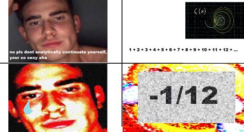 Riemann Zeta Function Goes Brrrr R Physicsmemes