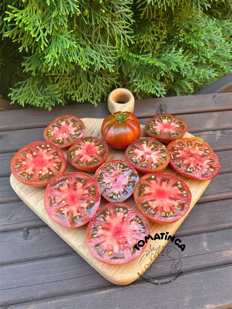 Гном Спящая леди (Sleeping Lady, США ) – Tomatinсa.ru