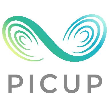 PICUP Partnership For Integration Of Computation Into Undergraduate