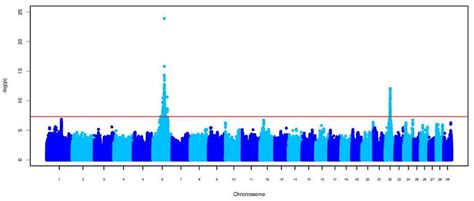 Manhattan Plot From Gwas Looking At The Presence Of A White Spot On The Download Scientific