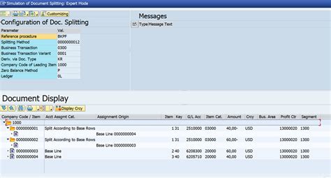 Document Splitting Is Not Displaying In Gl View Sap Community