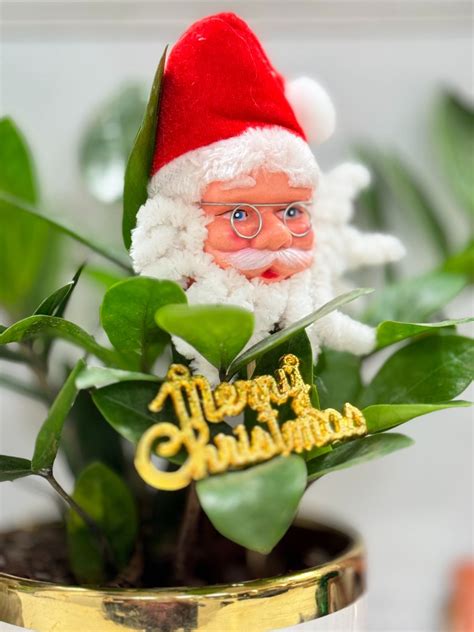 Souvik Haldar On Linkedin Embracing The Festive Spirit At Our Workplace 🎄 As We Immerse