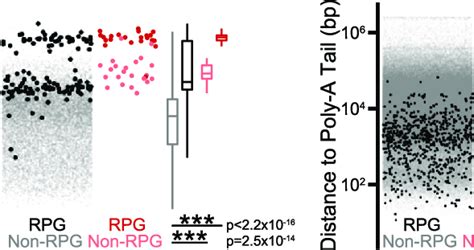 Selection Bias In Identified Intron Retention Events A Expression