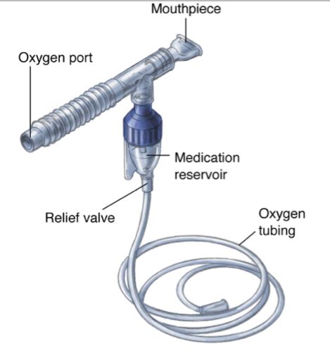 Nebulizer Lab Check Off Flashcards Quizlet