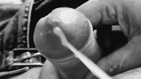 Solo Gay Porn Videos 258 Xhamster