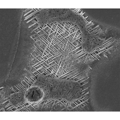 Metallographic Examination And Microstructural Characterization