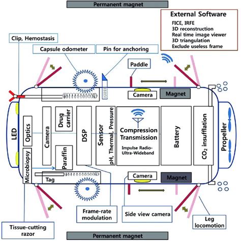 Advantages And Disadvantages Of Capsule Endoscopy Download Table