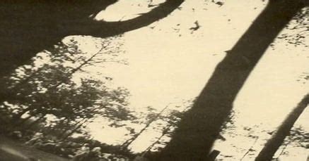 Til Of The Sonderkommando Photographs Four Blurred Photographs Taken