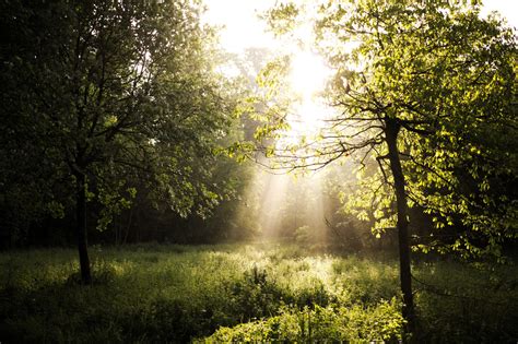 Vbaのdoeventsとは？処理中でも応答可能キャンセル）にする便利な使い方を徹底解説