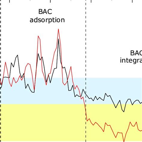 Evolution In Time Of Z Coordinate Of The N Atom Black And The C12
