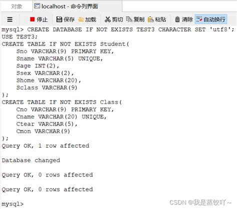 数据库实验三 数据控制安全性部分数据安全性控制数据库navicat Csdn博客 数据库实验三 数据控制安全性部分数据安全性控制数据库navicat Csdn博客