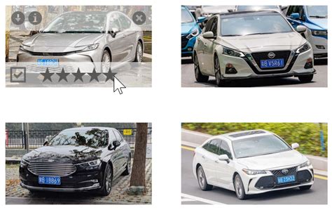 Tutorial Winexplorer View Basics Winforms Controls Devexpress