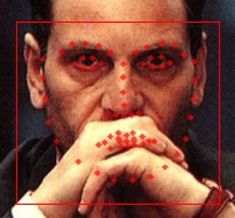 Maskface Multi Task Face And Landmark Detector Deepai