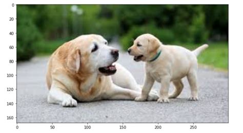 What Is Histogram Equalizer How Does It Work Nomidl