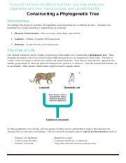 Phylogenetic Tree Assignment Pdf If You Do Not Have Access To A Printer You May Draw Your