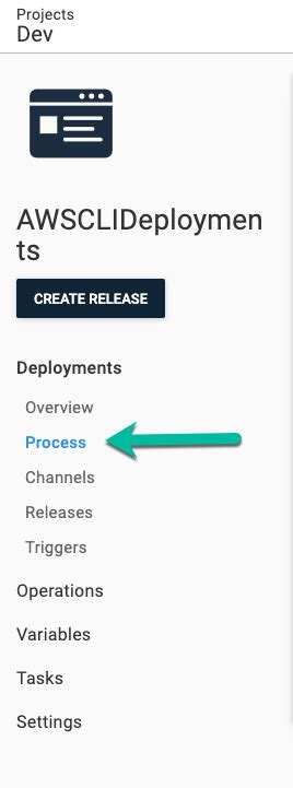 run the aws cli in octopus deploy octopus deploy