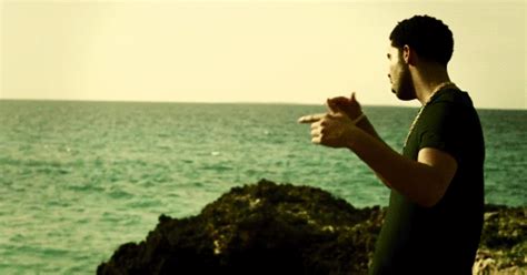 Diced Pineapples Pineapples  Wiffle